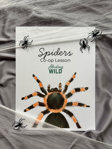Spiders Co-op Lesson | Abiding Wild