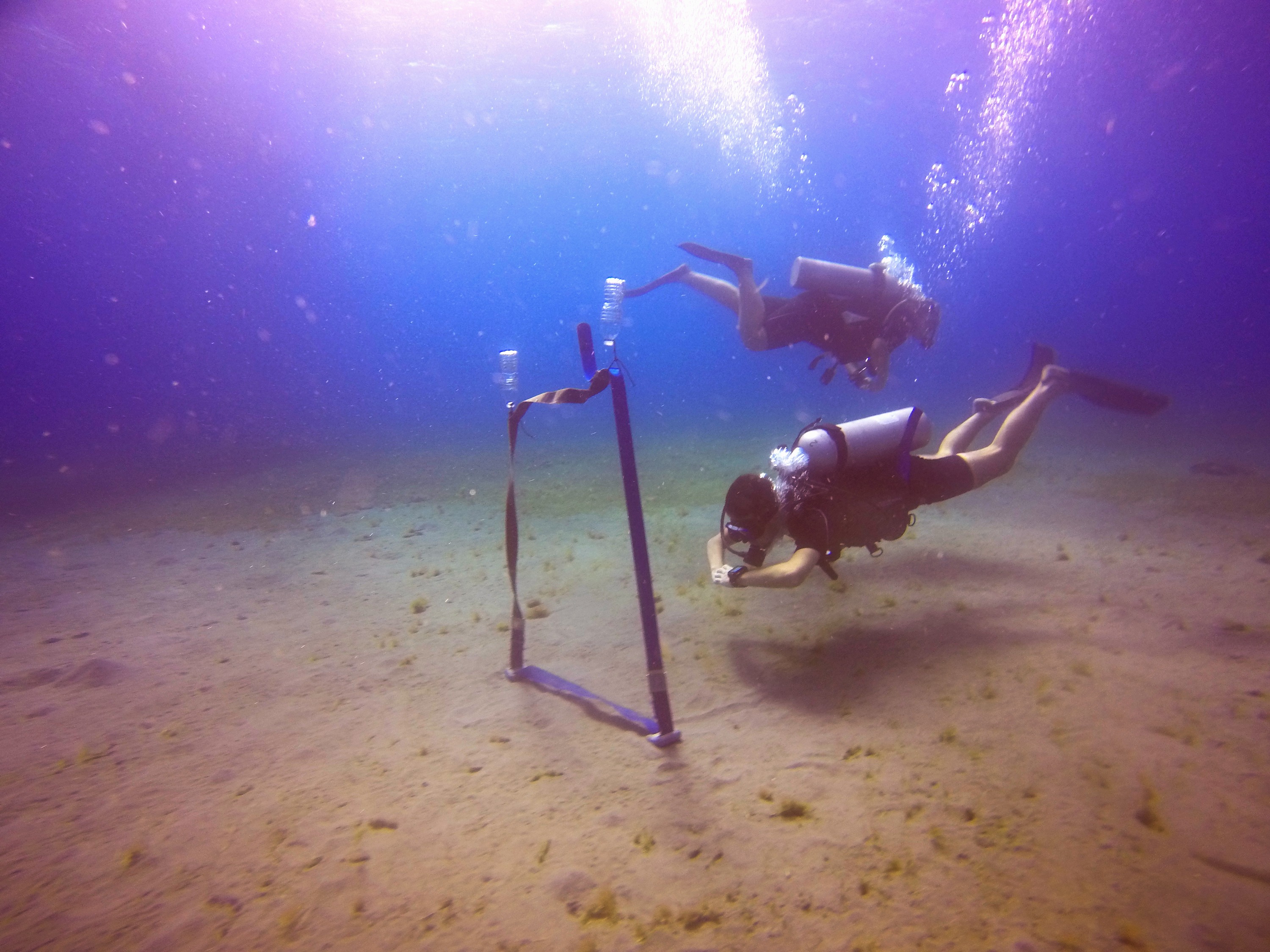 Padi Diving Course | Golden Rock Dive Center | Caribbean Netherlands