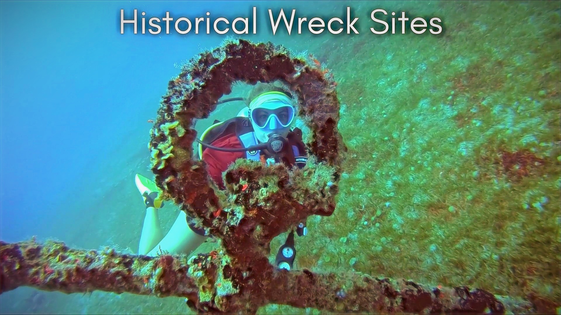 Padi Diving Course | Golden Rock Dive Center | Caribbean Netherlands