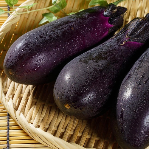 Nasu 'Millionaire' Japanese Aubergine Seeds by Niwaki | shellonearth