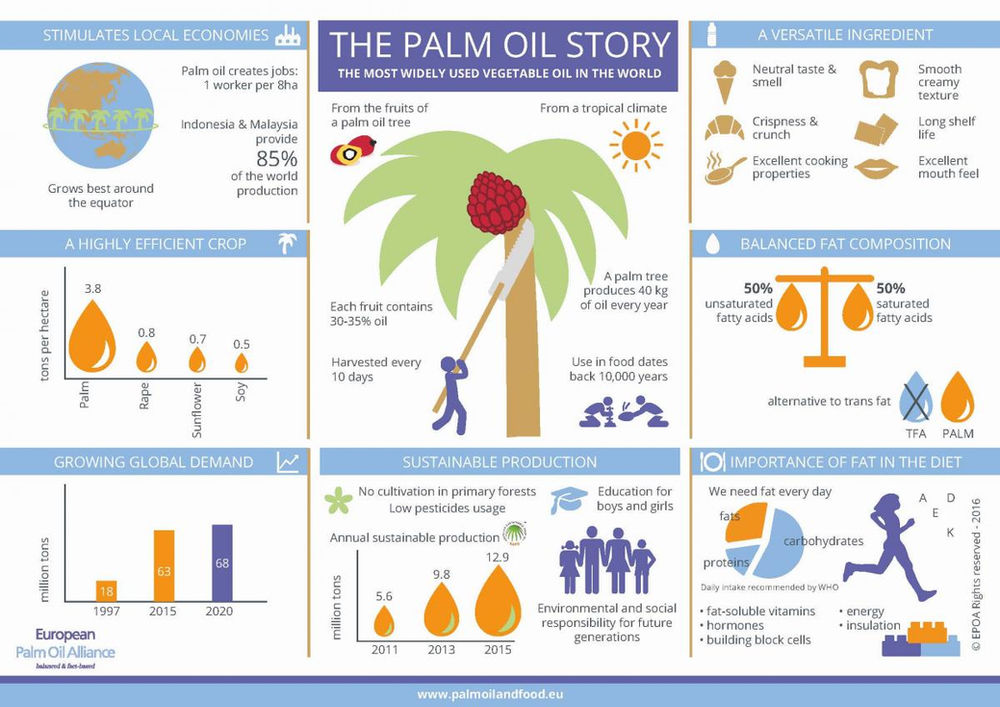 The Palm Oil Story (Infographic)