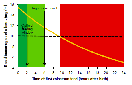 Influx Lipids | 3Qs of Colostrum Management