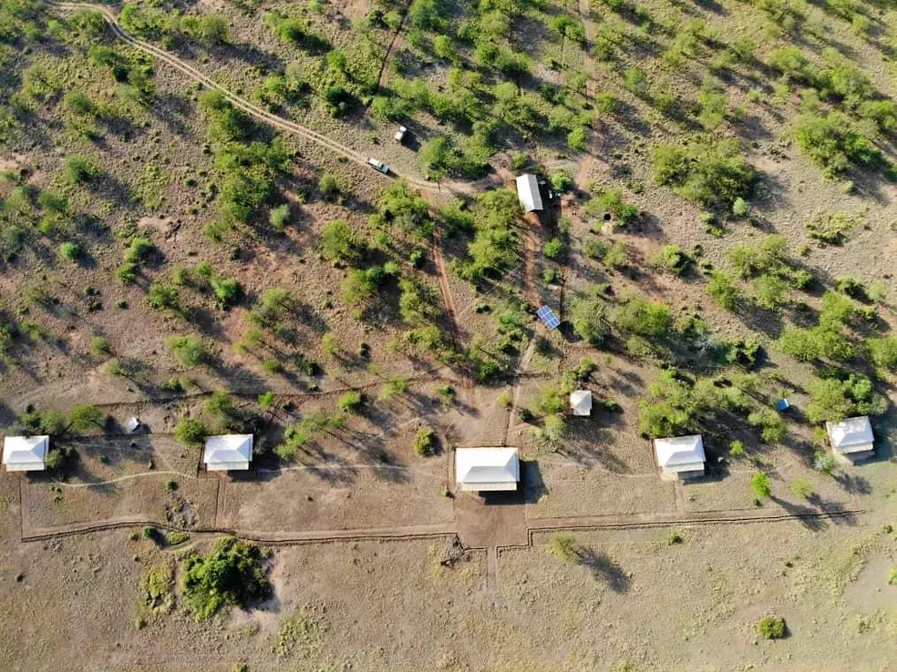 Into Wild Africa Safari Camp | Prominent Africa