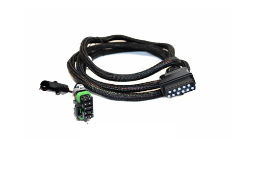 Western Light Harness 11 Pin (Truck Side) | Greenfield Supplies