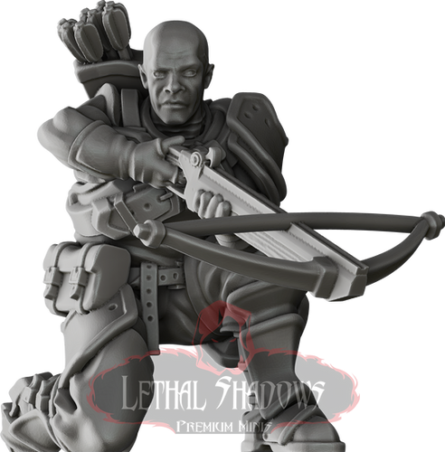 King's Guard Crossbowman 8 (Human) | Lethal Shadows