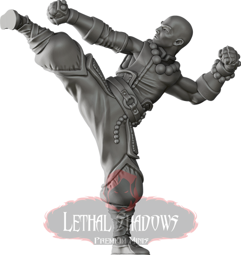 Monk 5 (Human) | Lethal Shadows