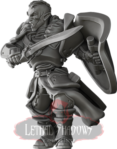 Shieldguard 1 (Elf) | Lethal Shadows