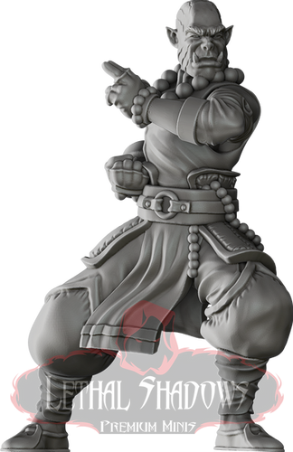 Monk 2 (Orc) | Lethal Shadows