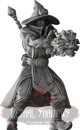 King's Guard Mage (Male) | Lethal Shadows