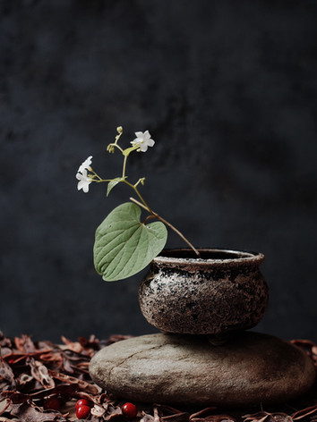 Sea Ranch Art House -- Insel Island