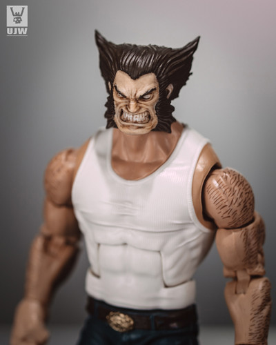 FW44:1/12 Custom Wolverine Head | UJW