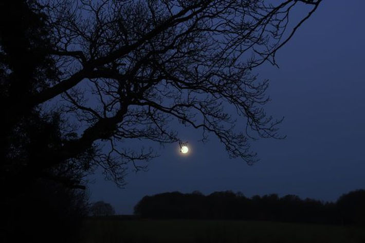 The Full Moon set and the Sunrise this morning with the Trees,