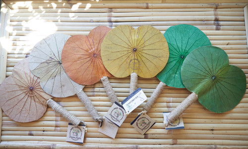 Colorful Lotus Fan made by Lotus Leaf | Chum Chum's Onigiri