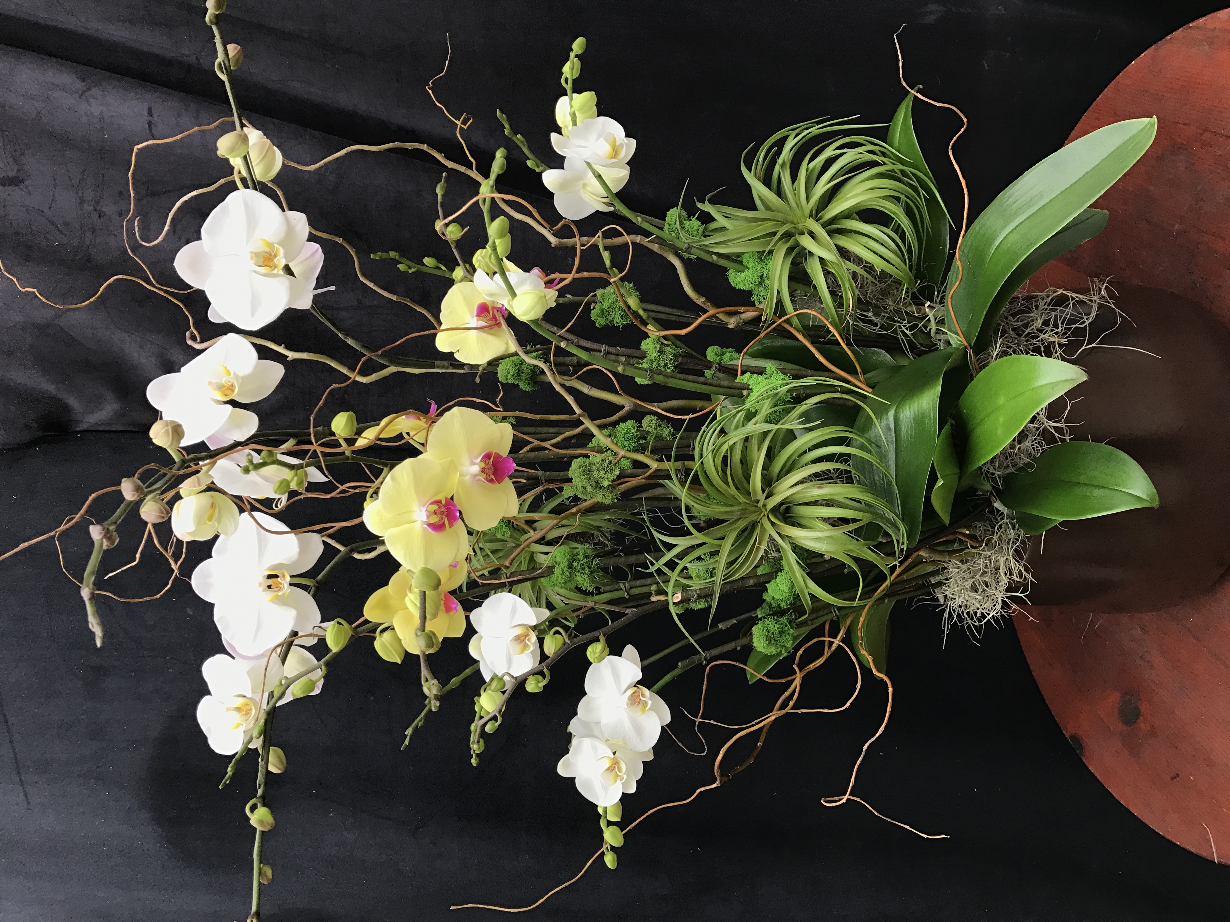 Orchid Arrangements - Custom | Elegant Orchids | United States