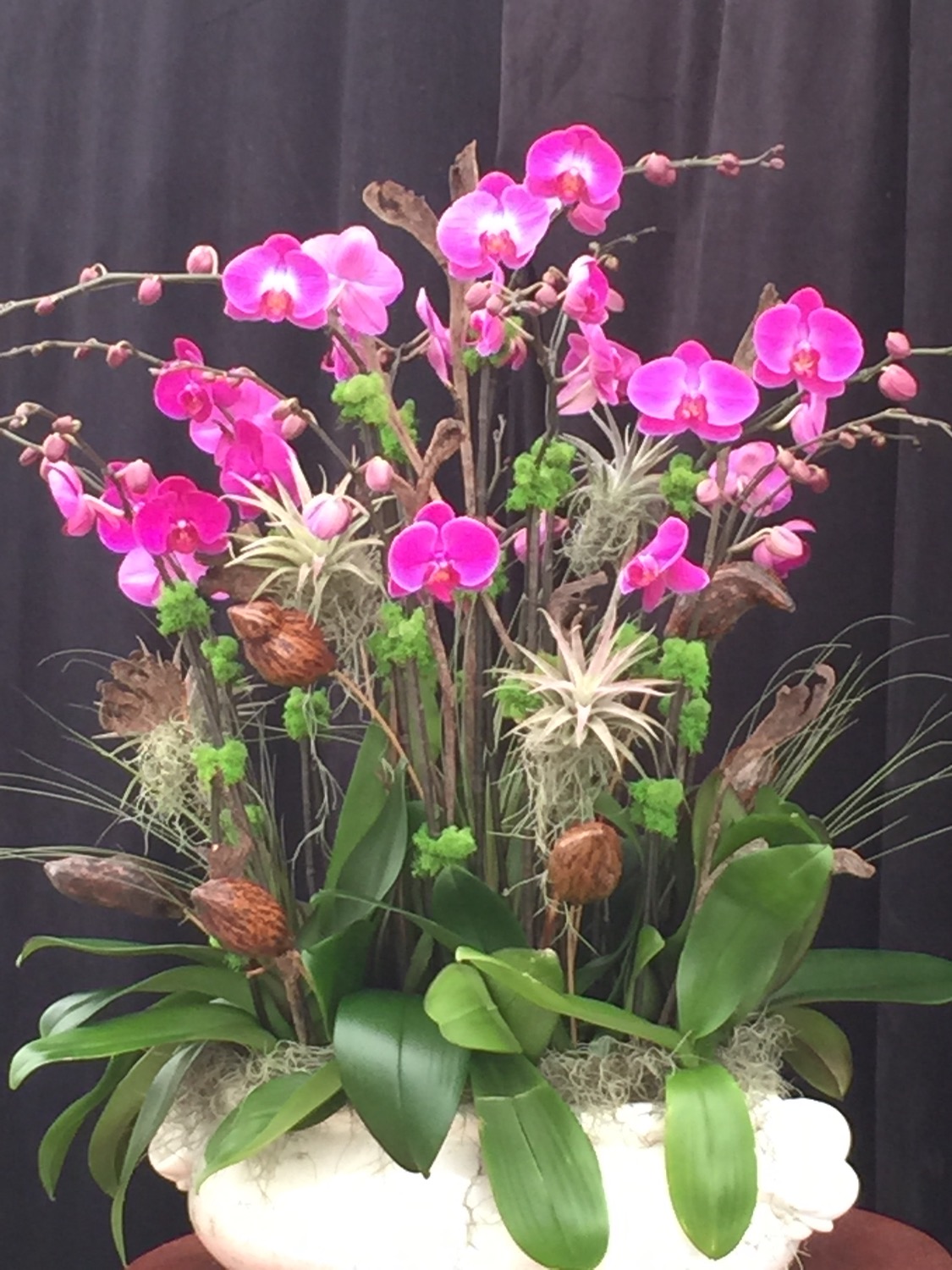 Orchid Arrangements - Custom | Elegant Orchids | United States