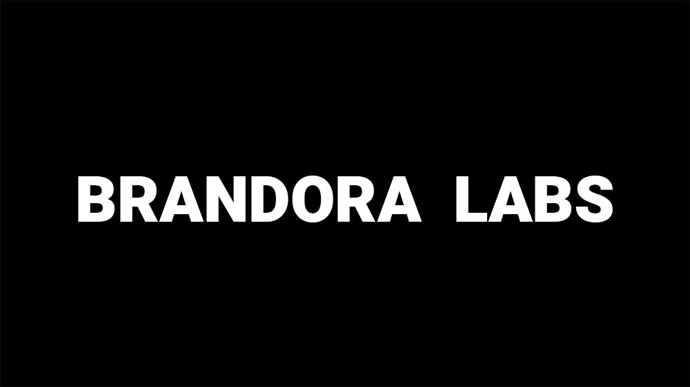 Brandora Labs | We launch and grow ecommerce brands