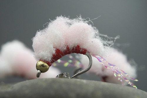 Sucker Spawn | Mainely Outdooors