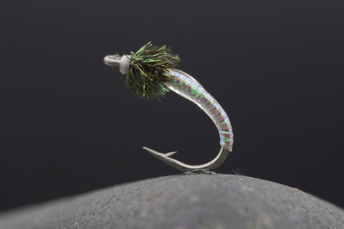 Disco Midge | Mainely Outdooors