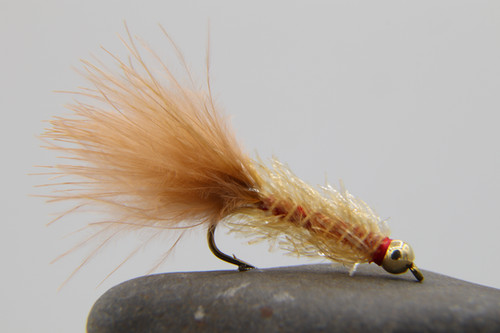 The Golden Retriever | Mainely Outdooors