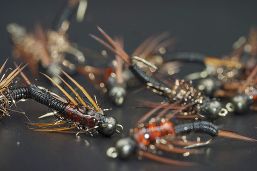 Buggy Vinyl Stone Fly | Mainely Outdooors