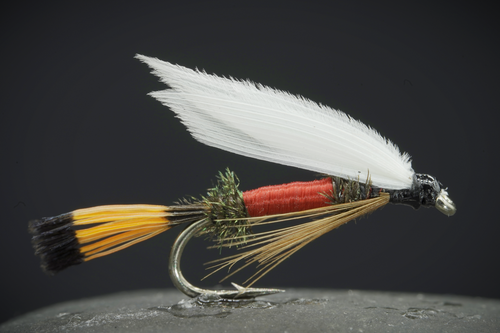 Royal Coachman | Mainely Outdooors