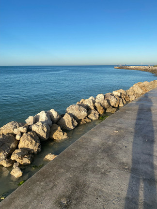 Gallery | Abbott Construction