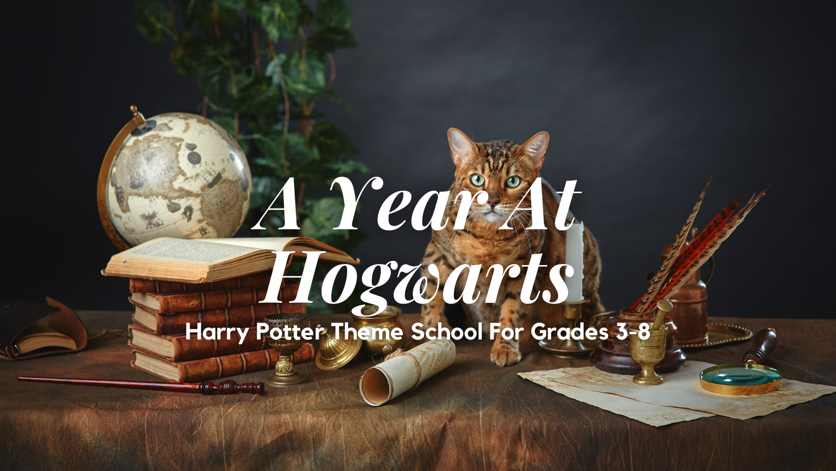 Harry Potter Homeschool: Discovering Learning Connections in the ...