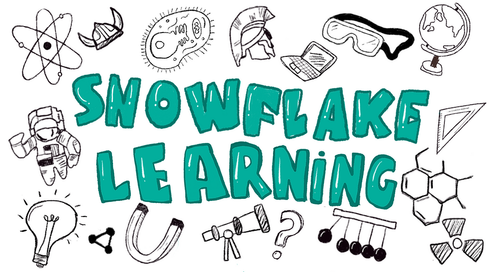 Home | Snowflake Learning