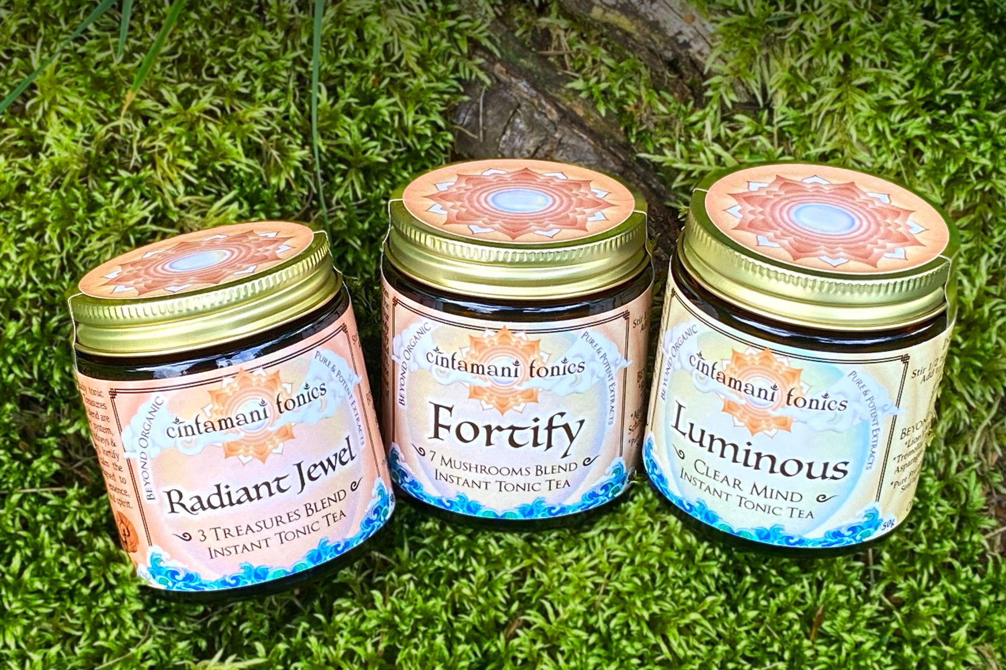Immunity Tonics | Cintamani Tonics | USA