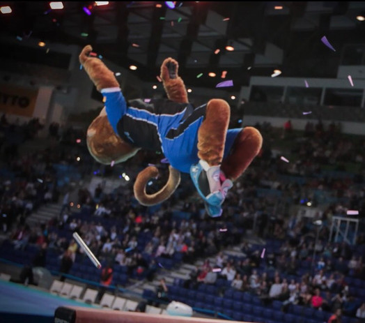 Home | Chicago Mascot Co.