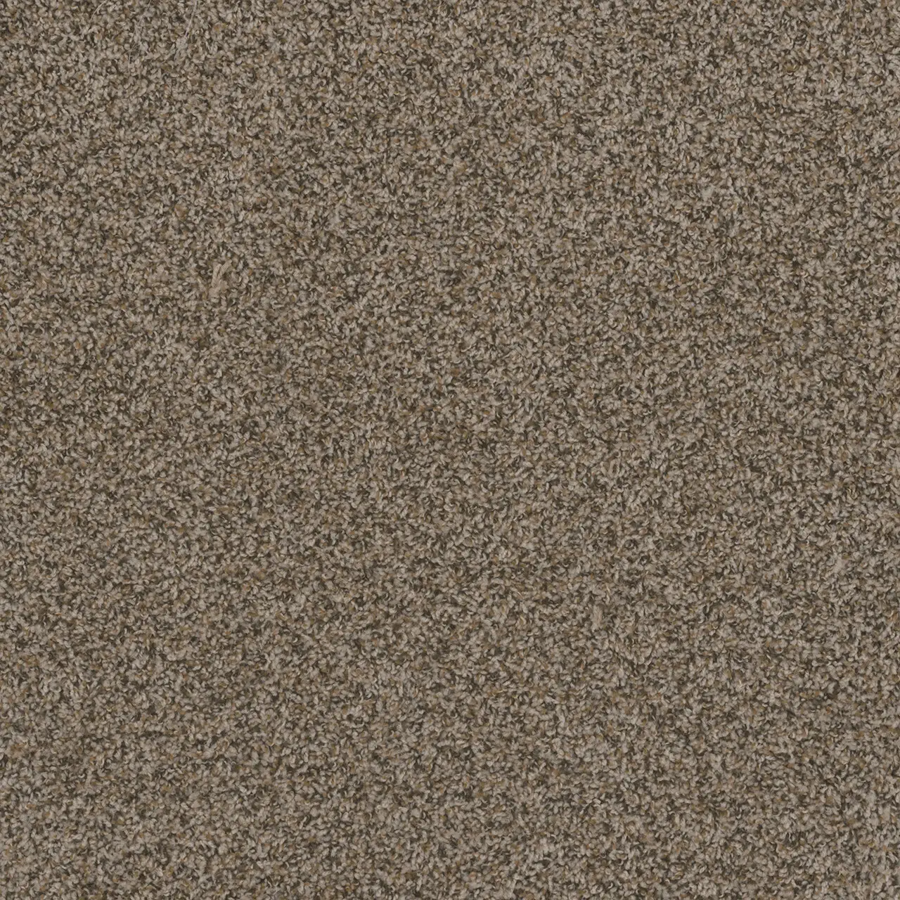 Twenty-Five25OZCarpet