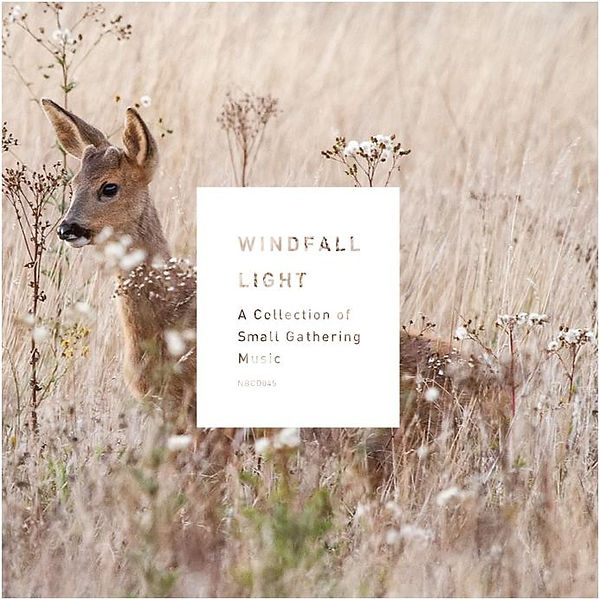Windfall Light | Mysite