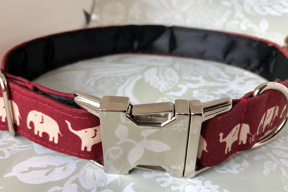 Peanut 1 Collar The Highland Hound peanut-1-collar-the-highland-hound