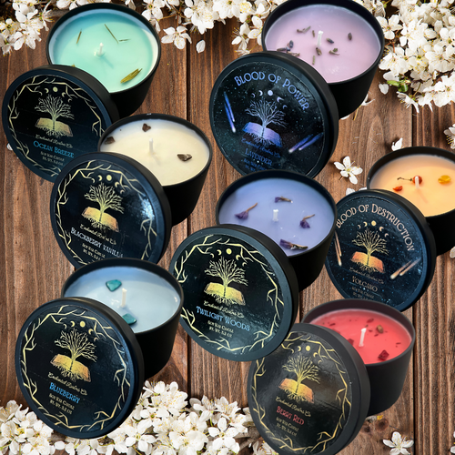 Box of Four ($22) | Enchanted Realms Co