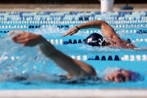 Swim Stimulus - Age Group (16 hours pw) | Trisutto