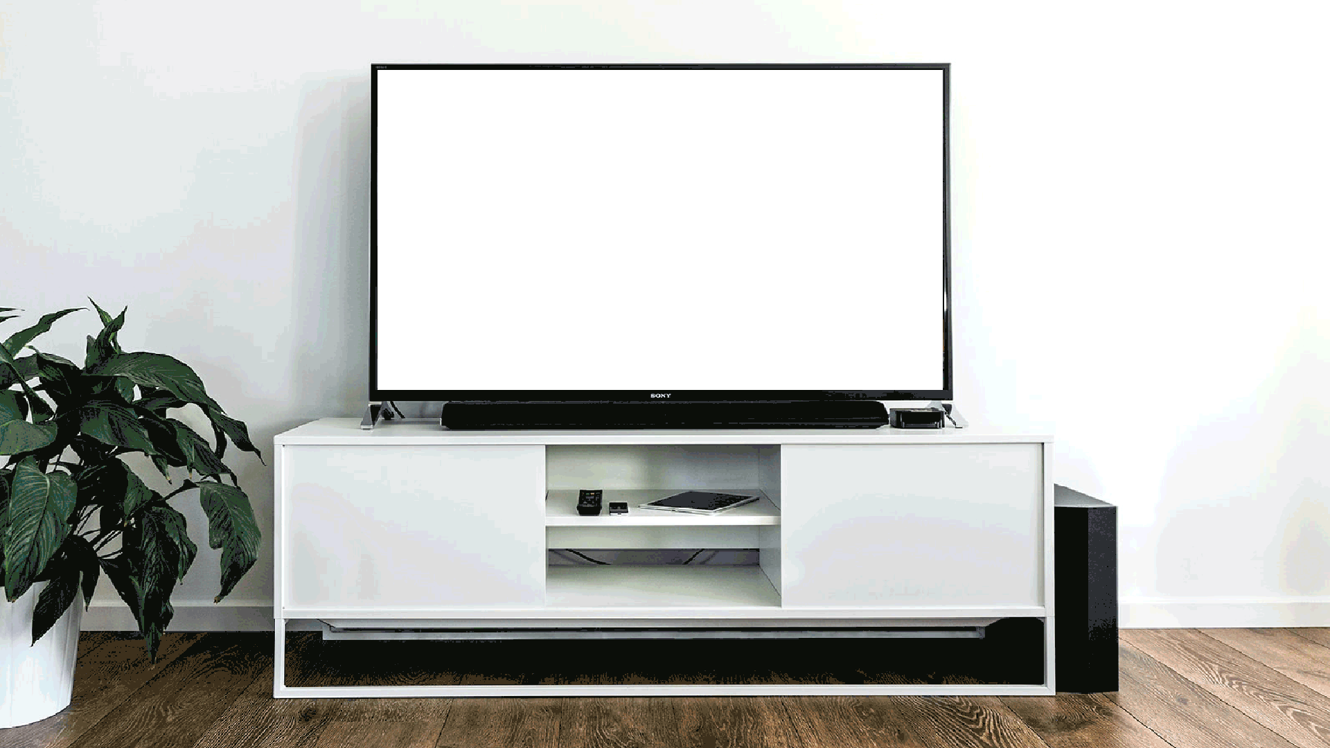 Adobe Photoshop | Frances Cooke