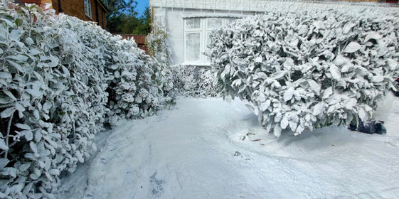 Snow Control UK | Snow Scenes for TV, Films & Commercials