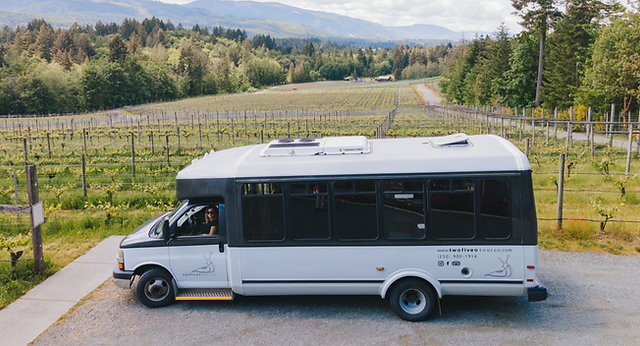 Shuttle bus for wedding 60 photos - Vianawedding.com