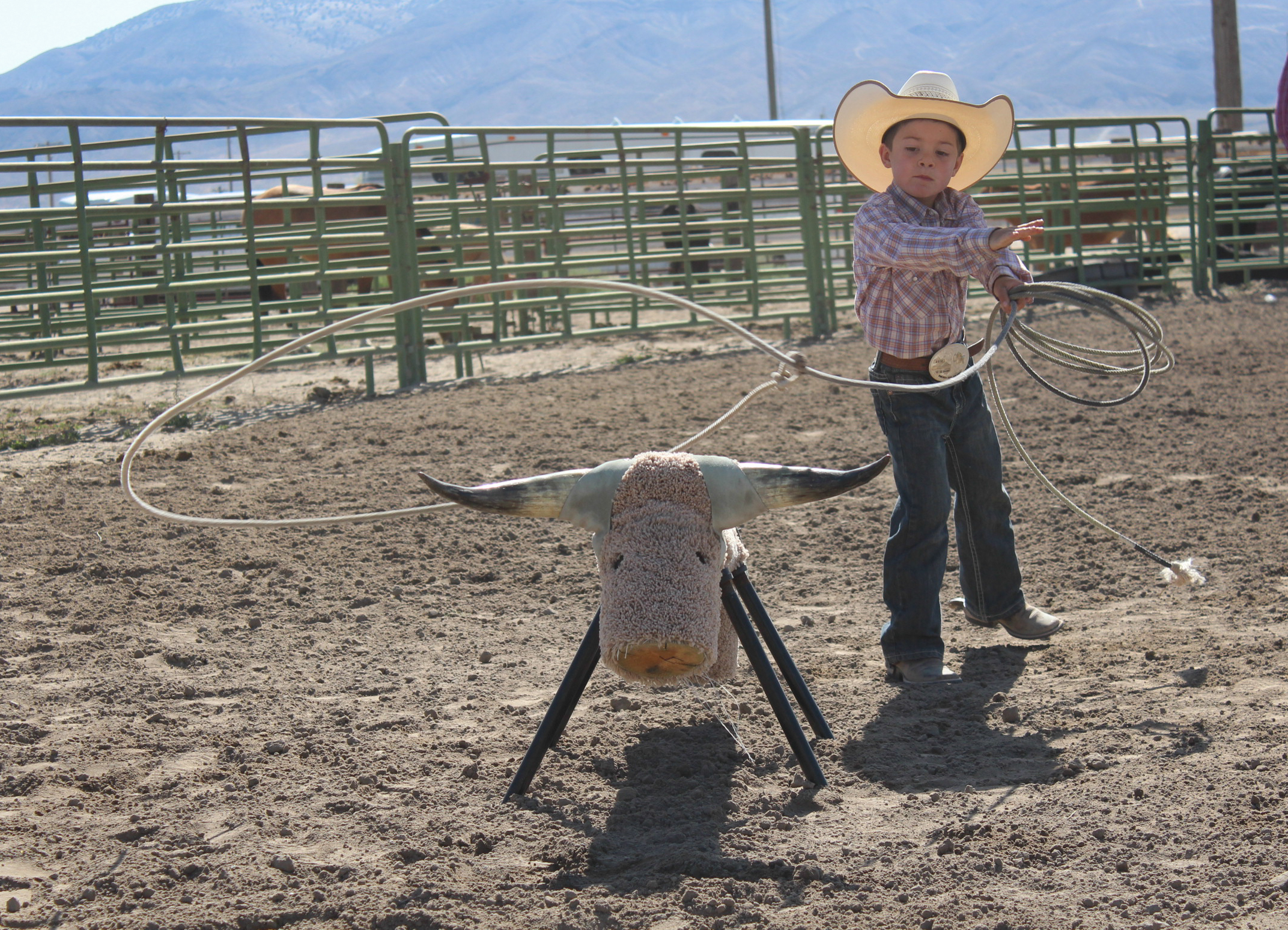 Ranch Rodeo | rodeolovelock