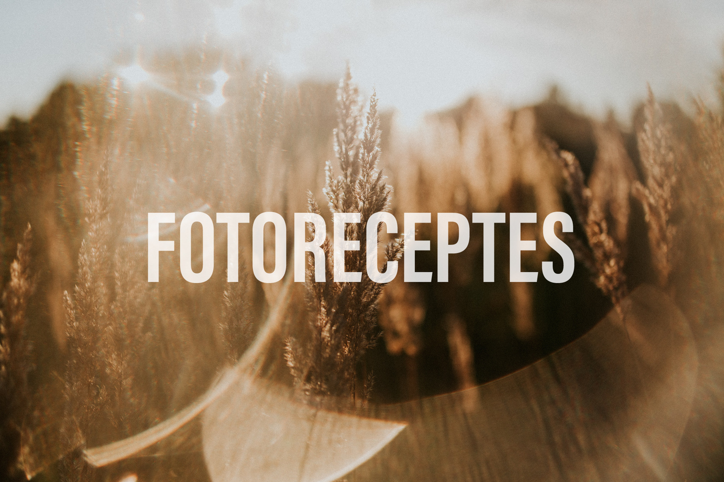 fotoreceptes