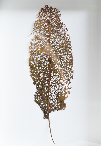 MARK LAWSON BELL | THE GREAT IMAGINING