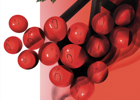 "Oi u luzi chervona kalyna" as the symbol of Ukrainian resistance