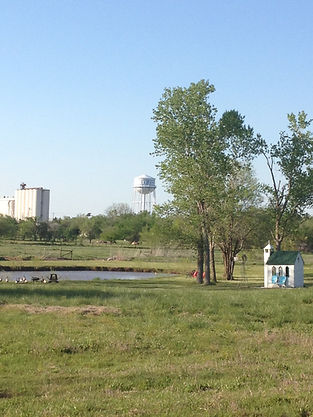 Home | Big Red RV Park