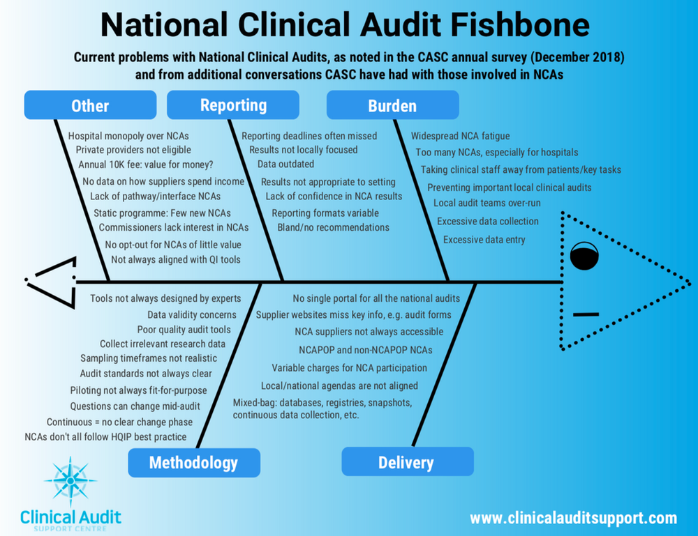 Our National Clinical Audit Fishbone