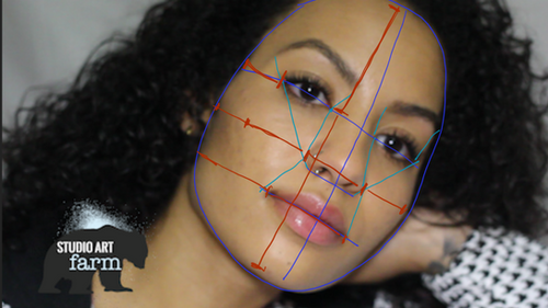 NEW!! Available Video Download (Portrait drawing from life tutorial ...