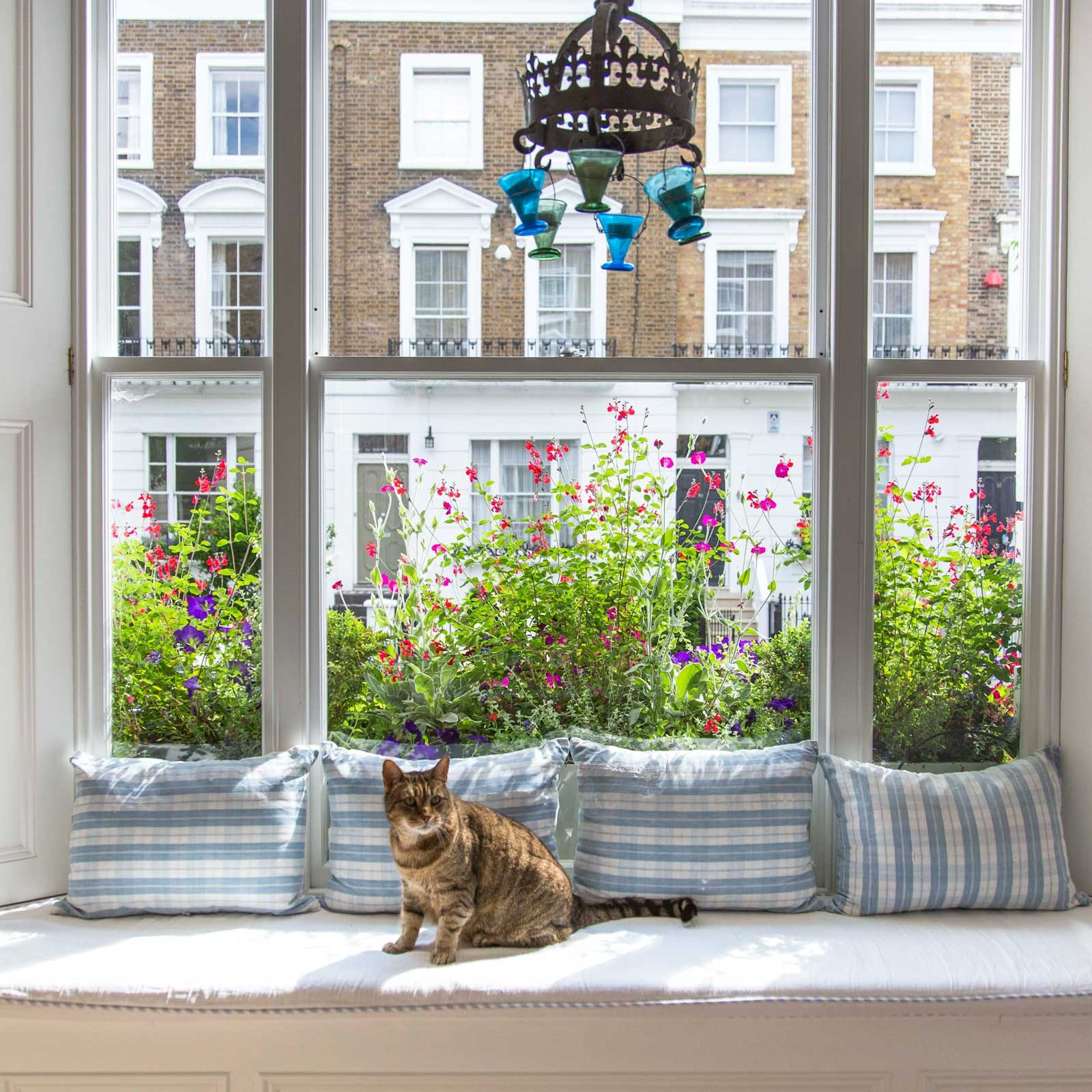 Window Boxes by Tulip Landscapes