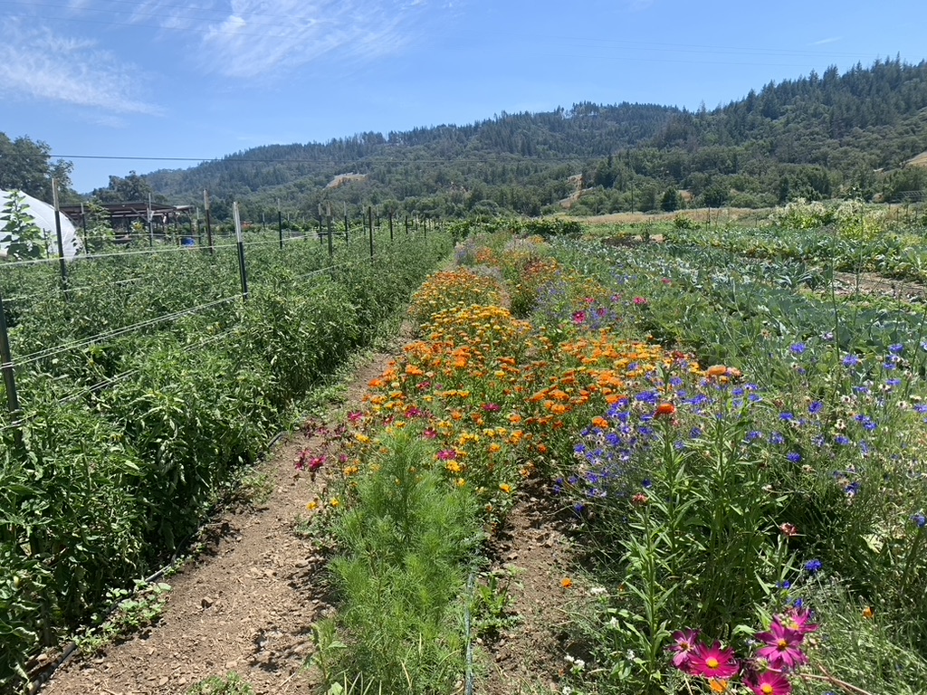 A Gift to Expand Opportunities for Youth in Agriculture