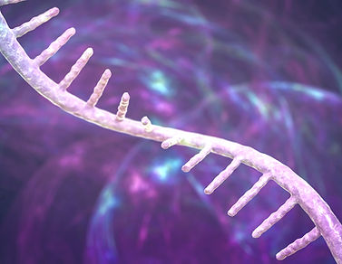 eGFP, FLuc, mCherry, EPO, Cas9, and Cre mRNA | Helix Biotech