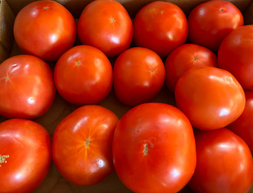 Kimo Tomato | hawaiiseedgrowers
