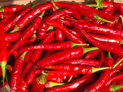 Cilli Filipino Sweet Peppers | hawaiiseedgrowers